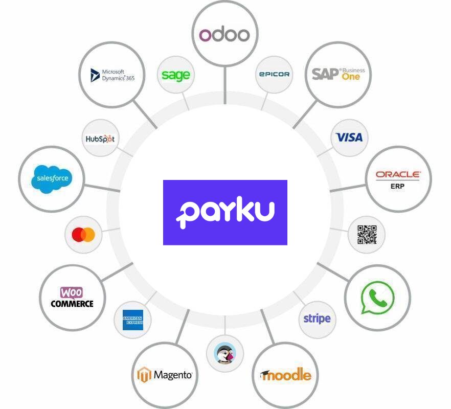 Payku - Pasarelas de Pagos